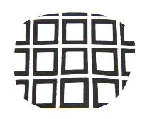 NIKON SEE MAX PROGRESSIVES